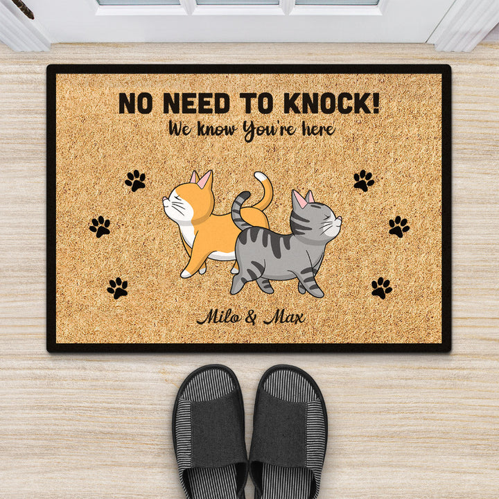 50+ Funny Personalized Cat Door Mat 2024 - Personal House
